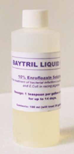 Baytril Liquid 10% - 120ml - Siegel Pigeons