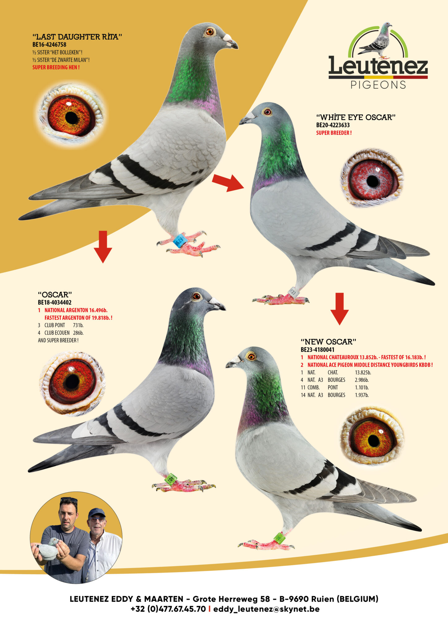 Ed Minvielle's Auction Birds at Fort Sutter RPC - Siegel Pigeons