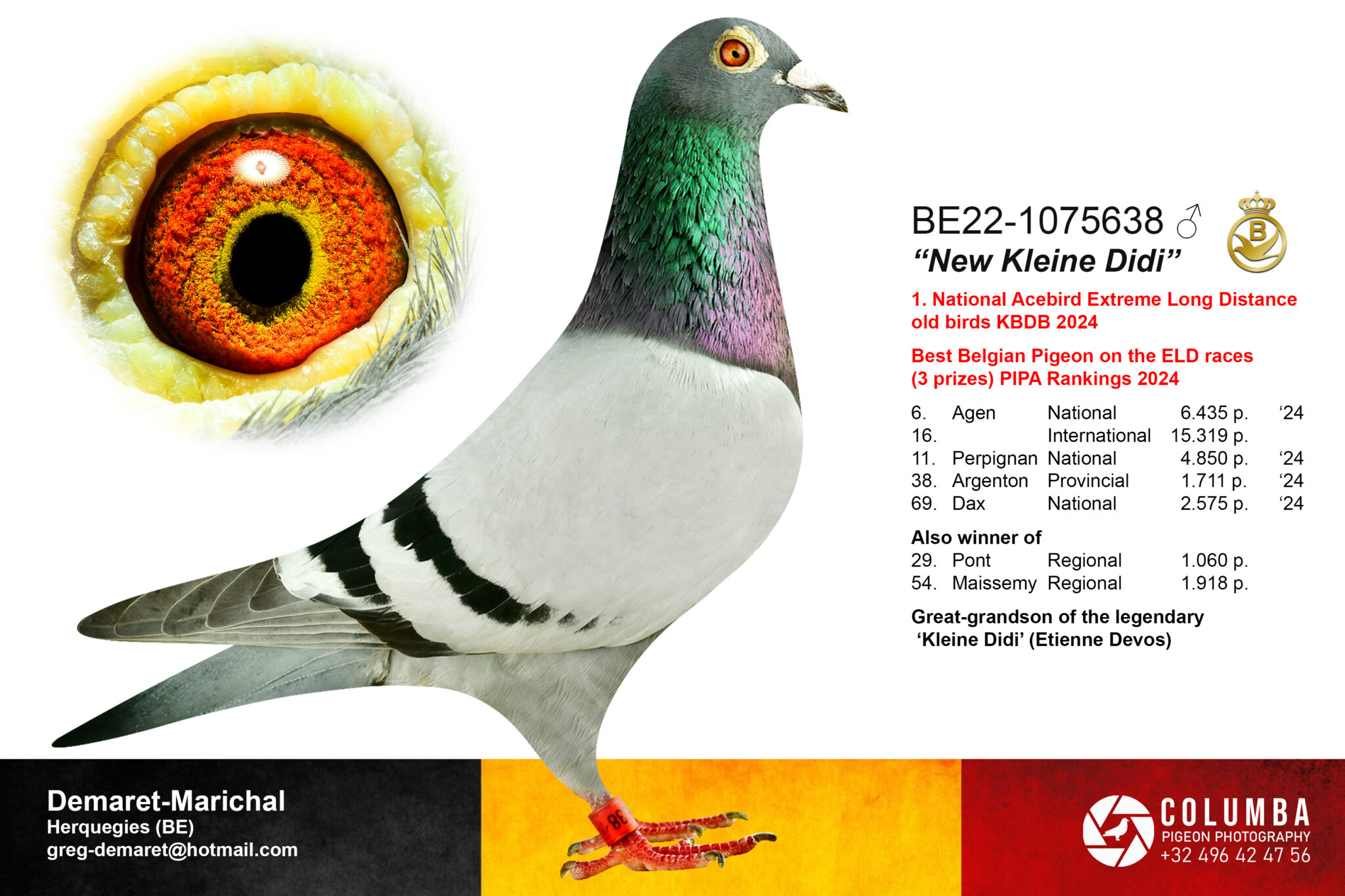 Widow Delbar-Raevens (Kluisbergen) wins 1st National ace KBDB Marathon ...