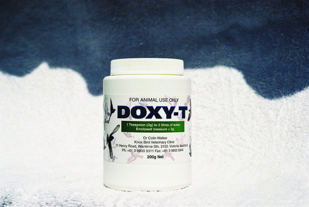 APC Doxy-T - Siegel Pigeons